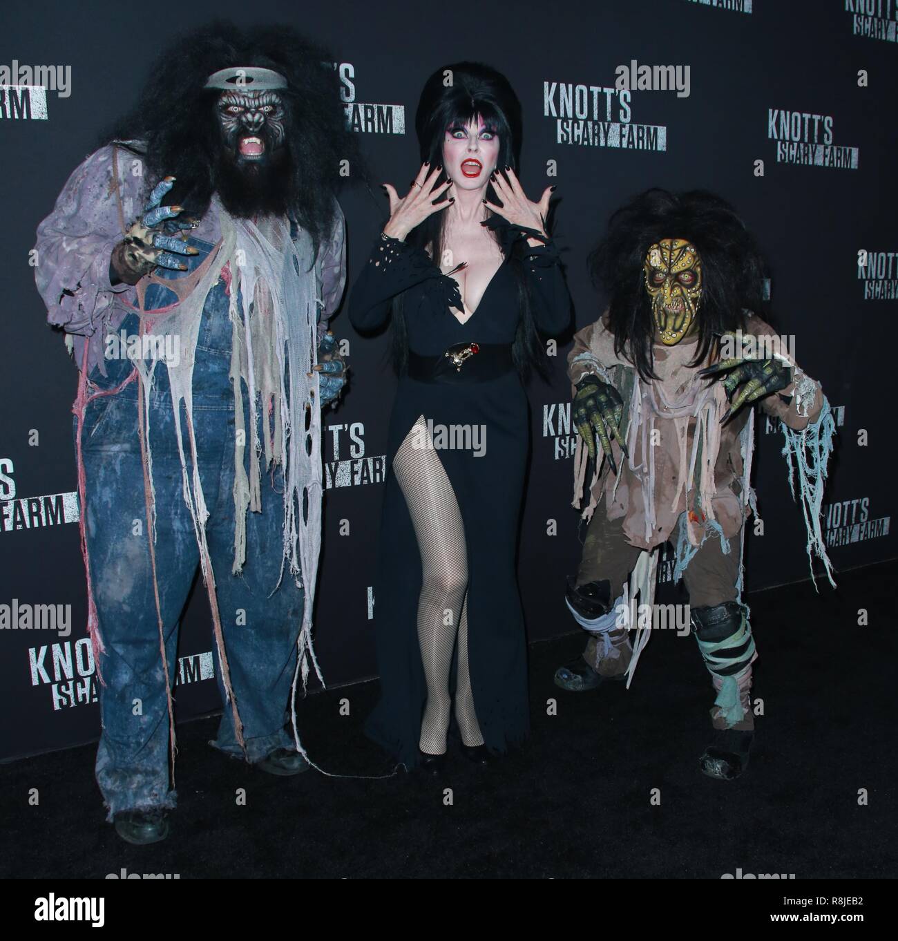 Cassandra peterson elvira -Fotos und -Bildmaterial in hoher Auflösung ...