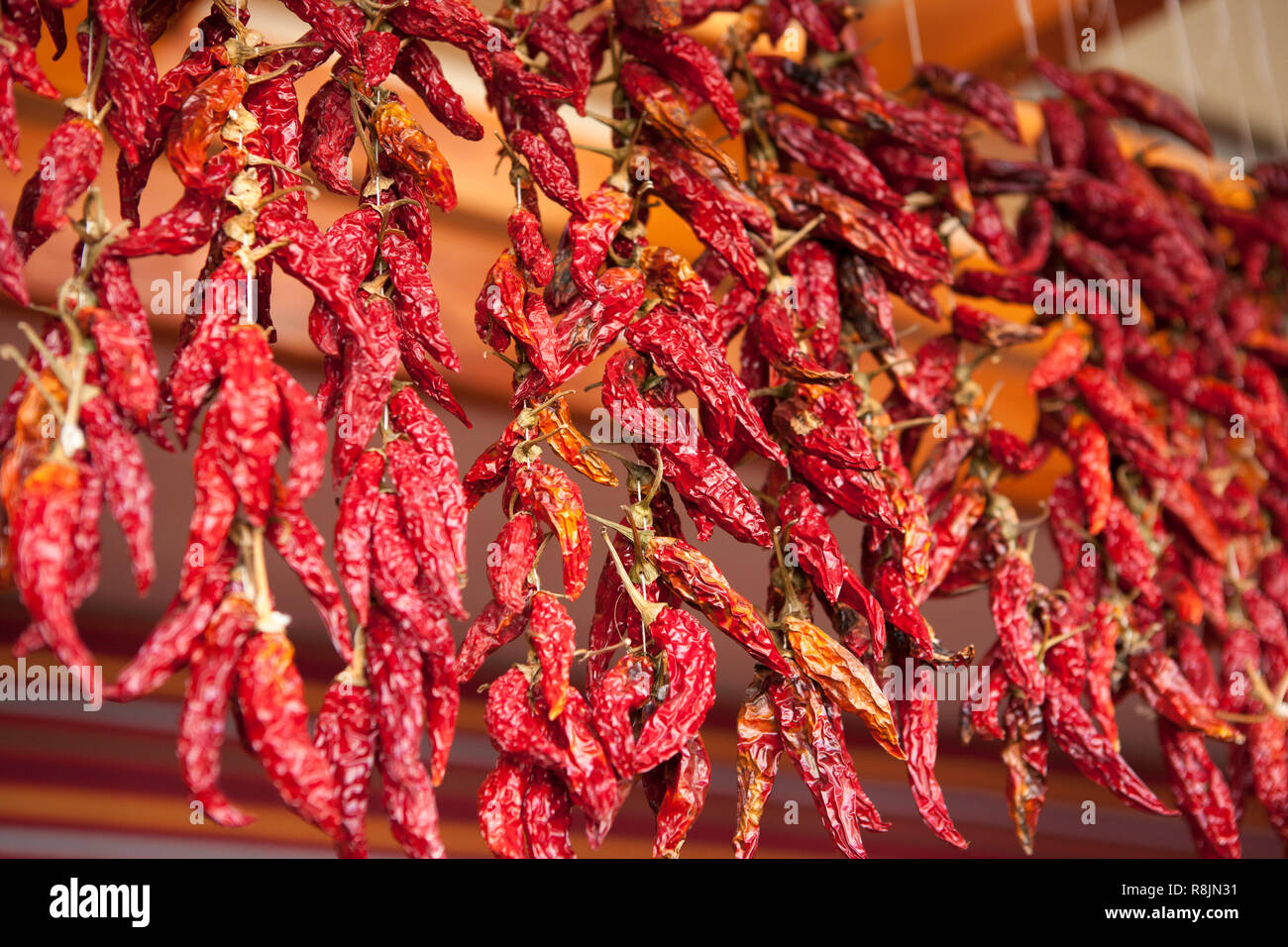 Getrocknete Chilischoten Aufhängen in Funchal, Madeira, Portugal ...