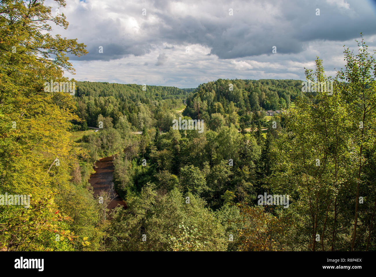 Wellenförmige Fluss im Wald im grünen Sommer. Fluss Amata in Lettland ...