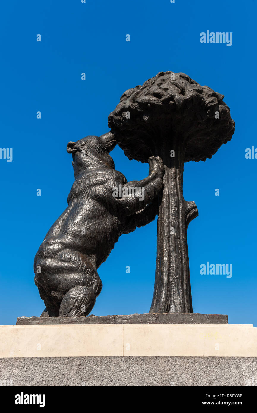 Madrono baum -Fotos und -Bildmaterial in hoher Auflösung – Alamy