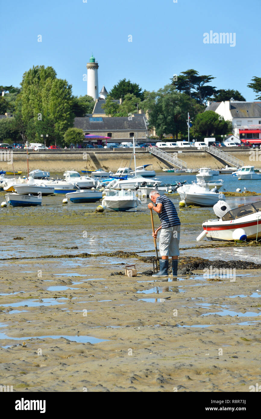 Frankreich, Morbihan, Golf von Morbihan, Regionaler Naturpark der Golf ...