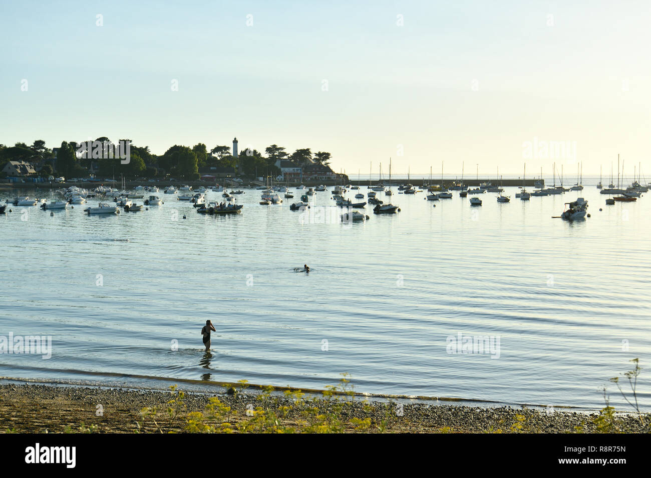 Frankreich, Morbihan, Golf von Morbihan, Regionaler Naturpark der Golf ...