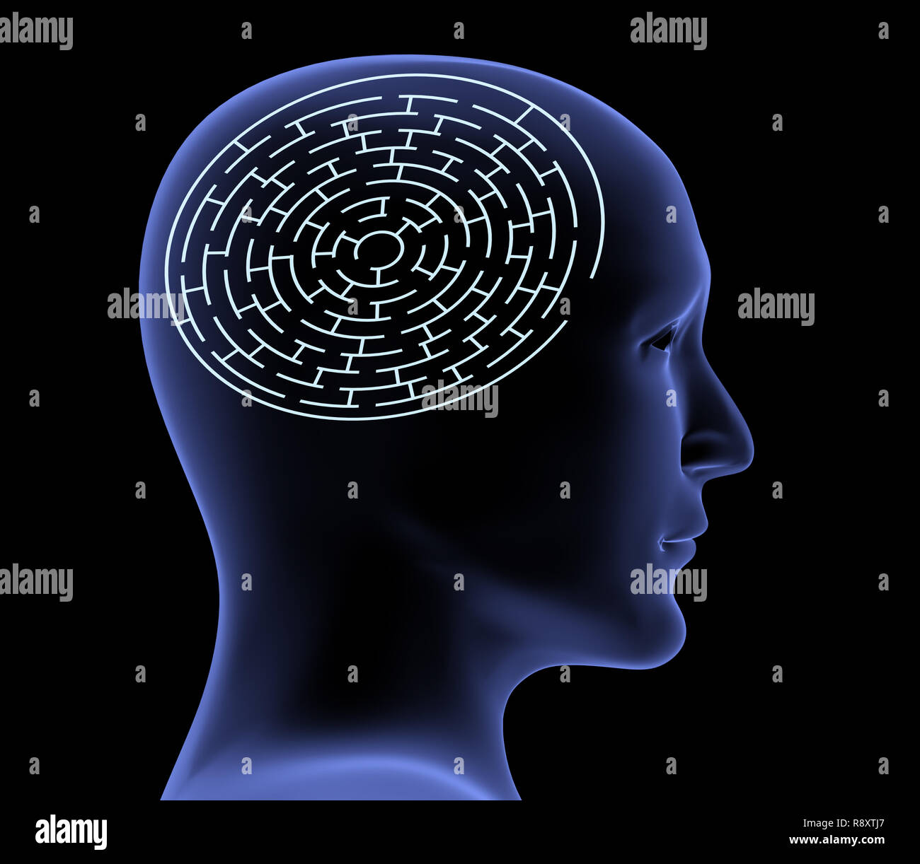 Kopfprofil mit labyrinth -Fotos und -Bildmaterial in hoher Auflösung ...