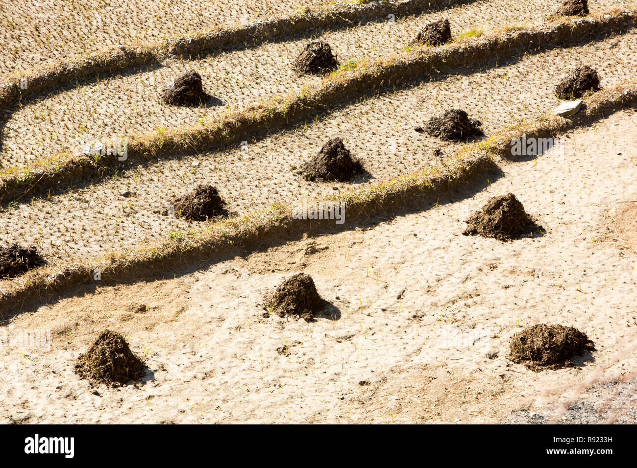 Himalayas nepal soil terracing -Fotos und -Bildmaterial in hoher ...