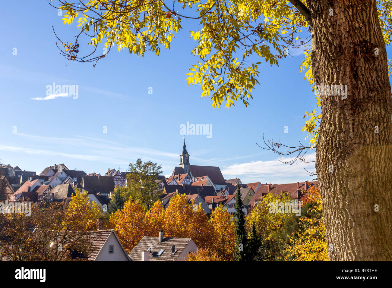 Marbach town at -Fotos und -Bildmaterial in hoher Auflösung – Alamy
