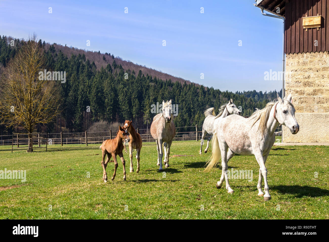 Hof bauernhaus -Fotos und -Bildmaterial in hoher Auflösung – Alamy