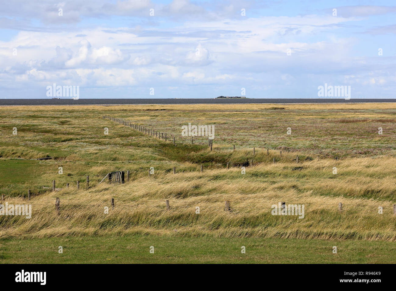 Marschland an der nordseeküste -Fotos und -Bildmaterial in hoher ...