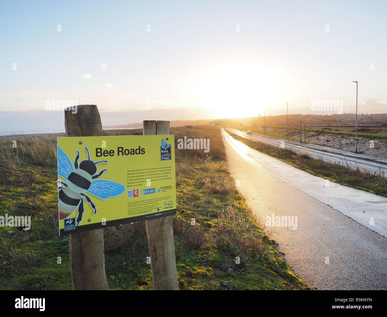 Kent wildlife trust bee roads -Fotos und -Bildmaterial in hoher ...