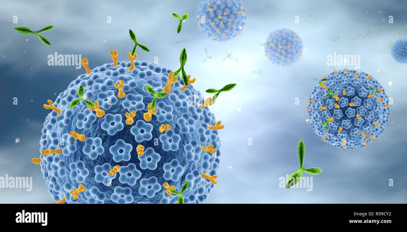 Hp virus -Fotos und -Bildmaterial in hoher Auflösung – Alamy