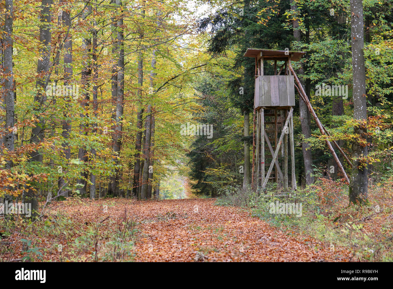 Jagd Wald Feld Natur Turm Stockfotos und -bilder Kaufen - Alamy
