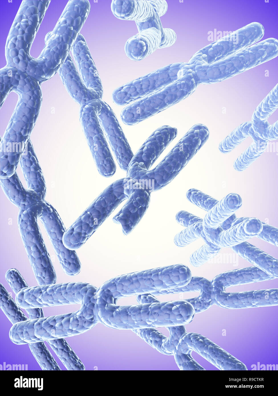 X chromosome -Fotos und -Bildmaterial in hoher Auflösung – Alamy