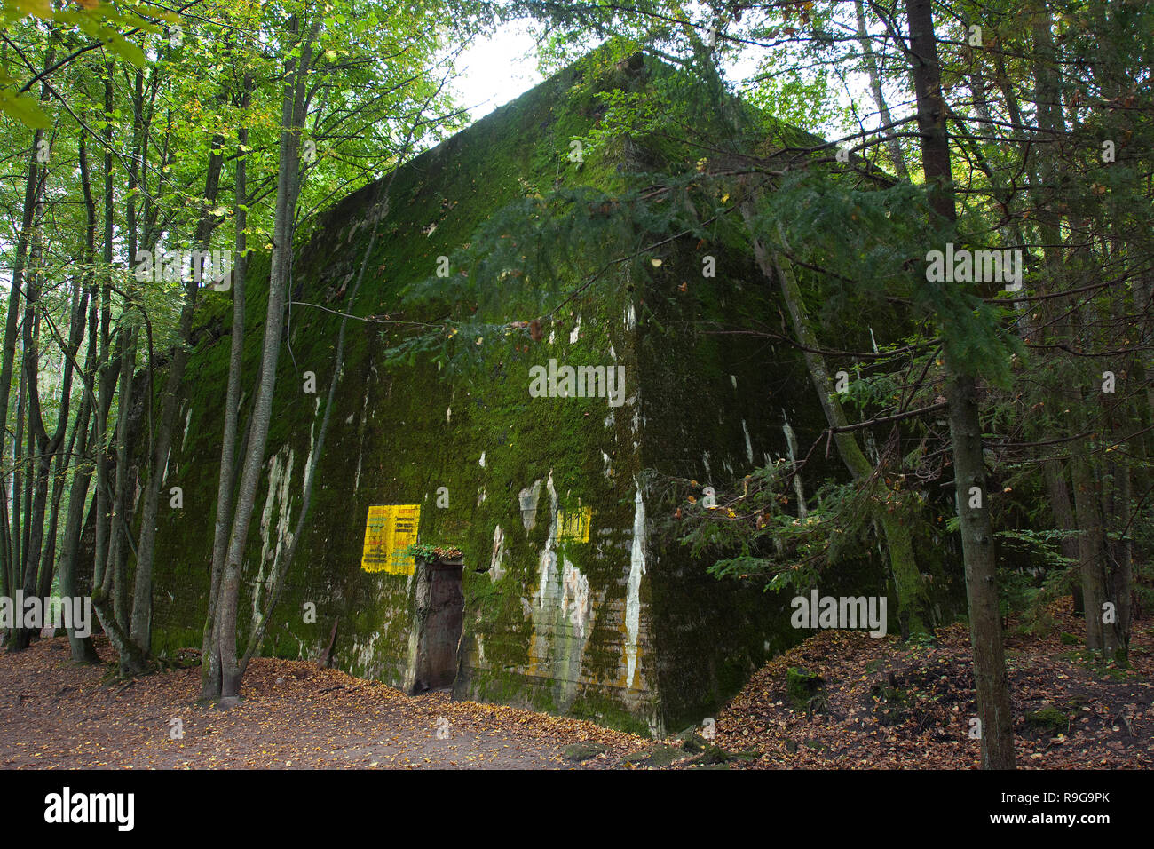 Wolfsschanze wolfshöhle -Fotos und -Bildmaterial in hoher Auflösung – Alamy