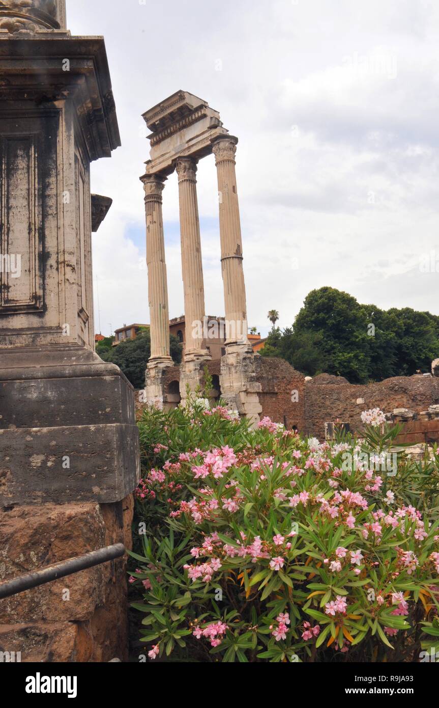 Tempel der Vestalin der auf dem Forum in Rom Stockfotografie - Alamy