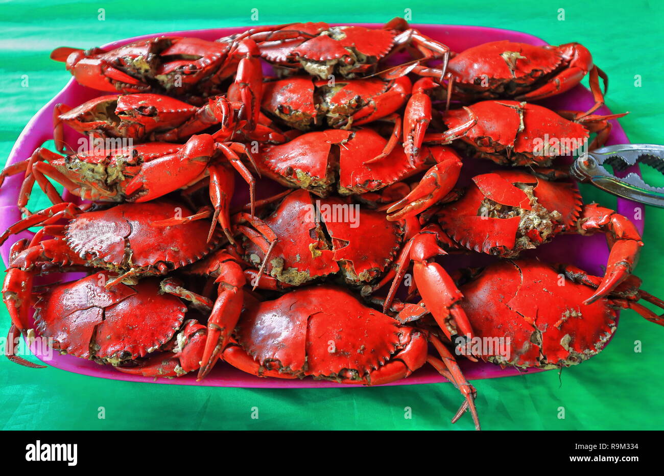 Filipino alimango -Fotos und -Bildmaterial in hoher Auflösung – Alamy