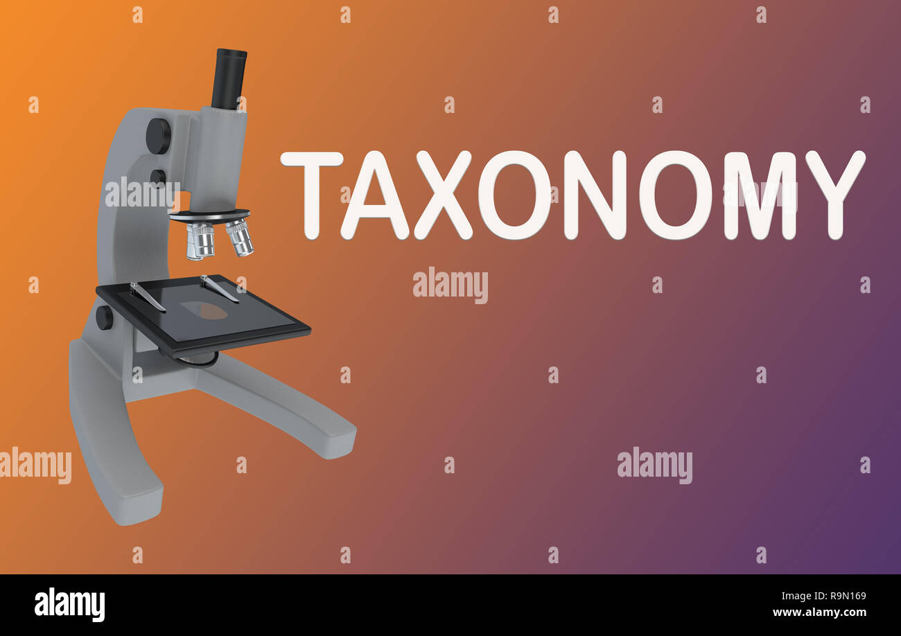 Moderne taxonomie -Fotos und -Bildmaterial in hoher Auflösung – Alamy