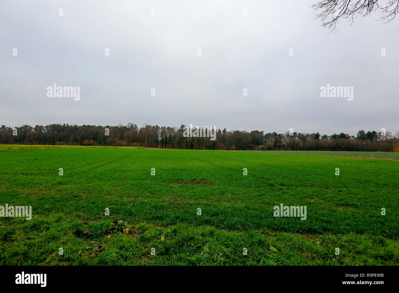 Nürnberger land -Fotos und -Bildmaterial in hoher Auflösung – Alamy