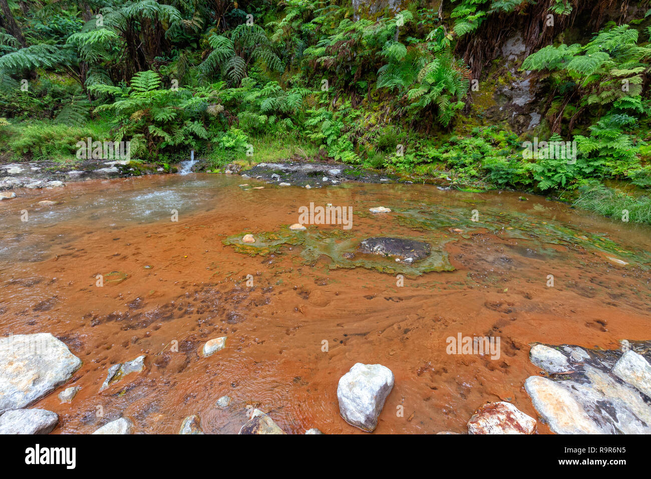 Caldeira velha naturpark -Fotos und -Bildmaterial in hoher Auflösung ...