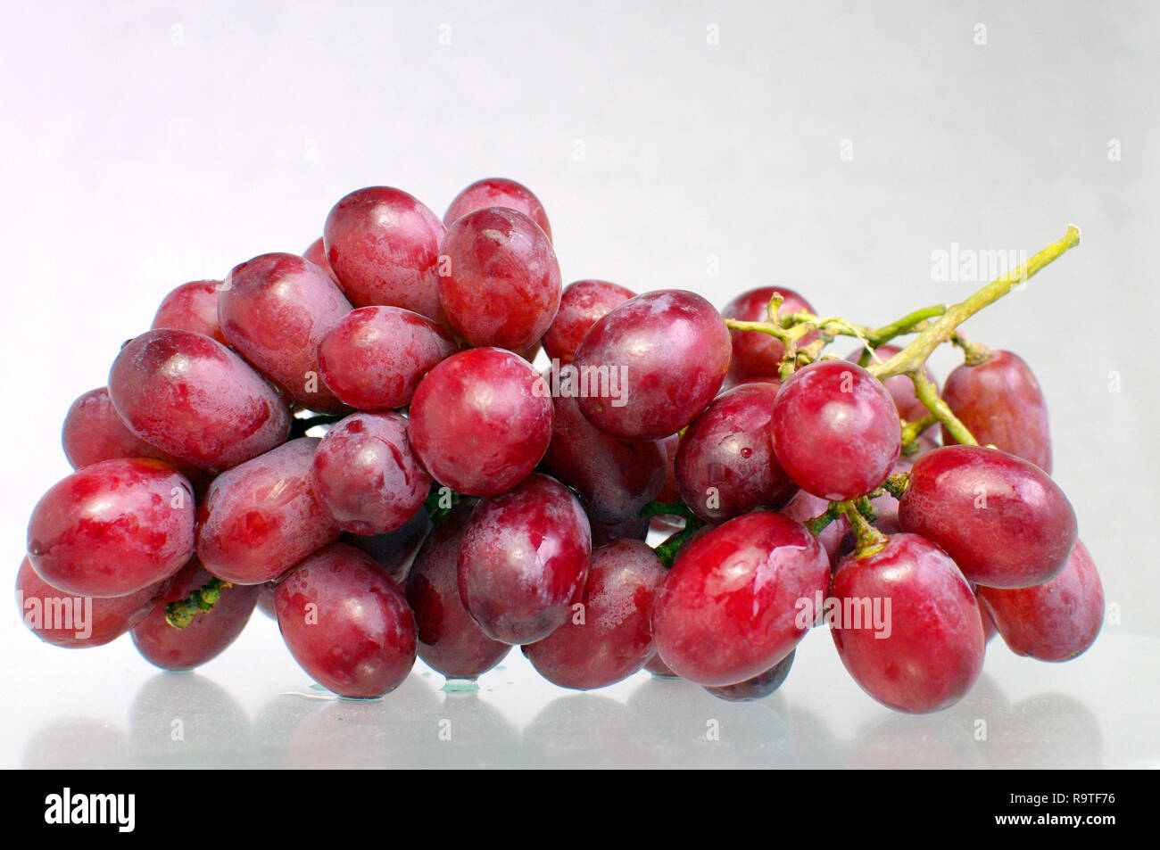 Rote trauben vitis vinifera Stockfotos und -bilder Kaufen - Alamy