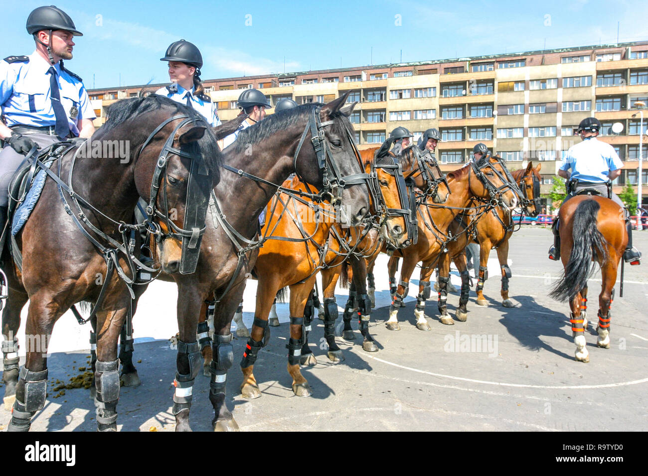 Tschechische berittene polizei -Fotos und -Bildmaterial in hoher ...