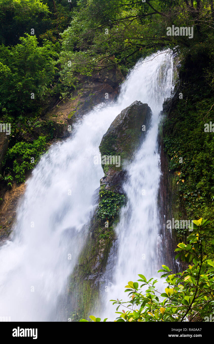 Tropische zone -Fotos und -Bildmaterial in hoher Auflösung – Alamy