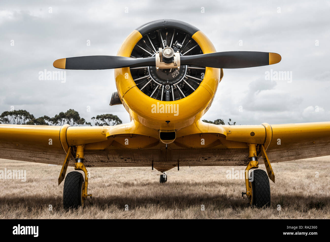 Trainer airplane -Fotos und -Bildmaterial in hoher Auflösung – Alamy