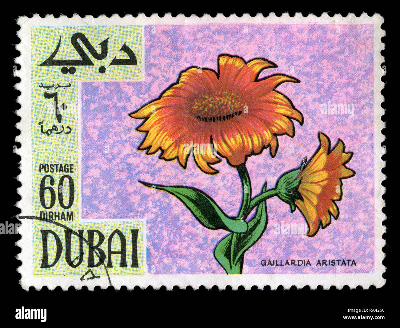 60 vereinigte arabische emirate dirham -Fotos und -Bildmaterial in ...