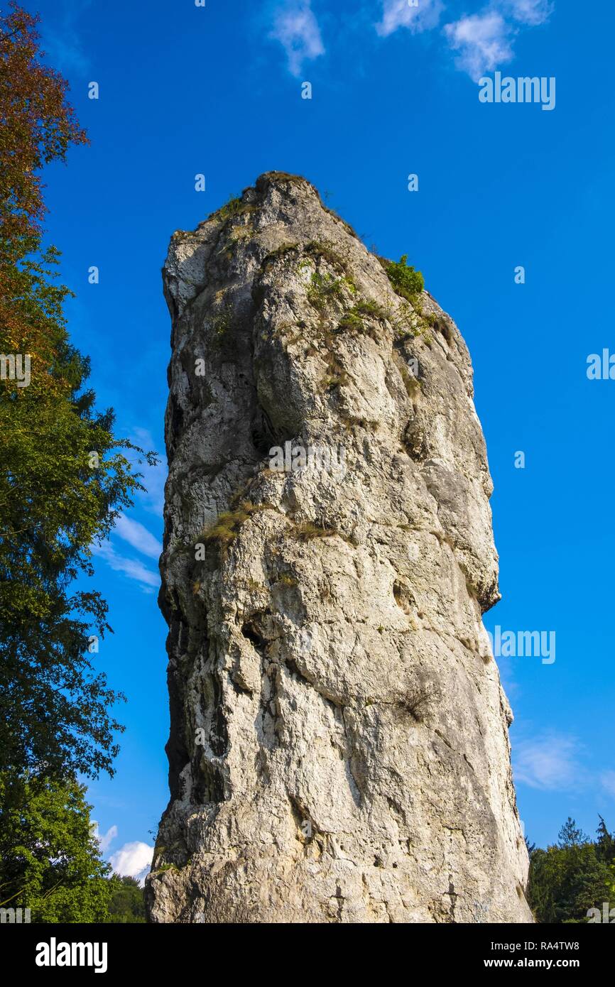 Keule von herkules -Fotos und -Bildmaterial in hoher Auflösung – Alamy