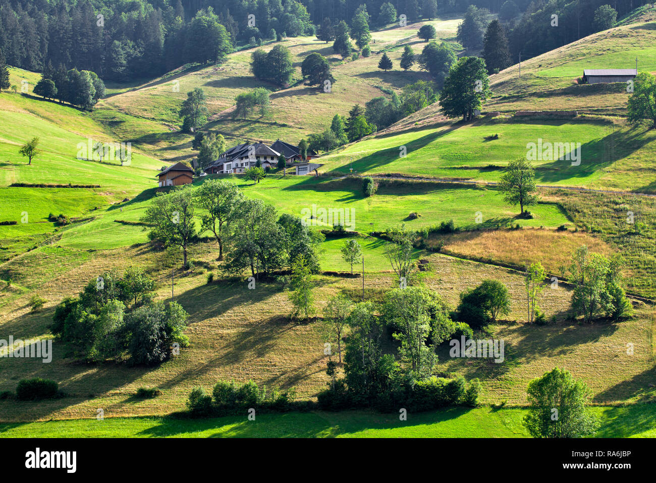 Wald bauernhaus -Fotos und -Bildmaterial in hoher Auflösung – Alamy
