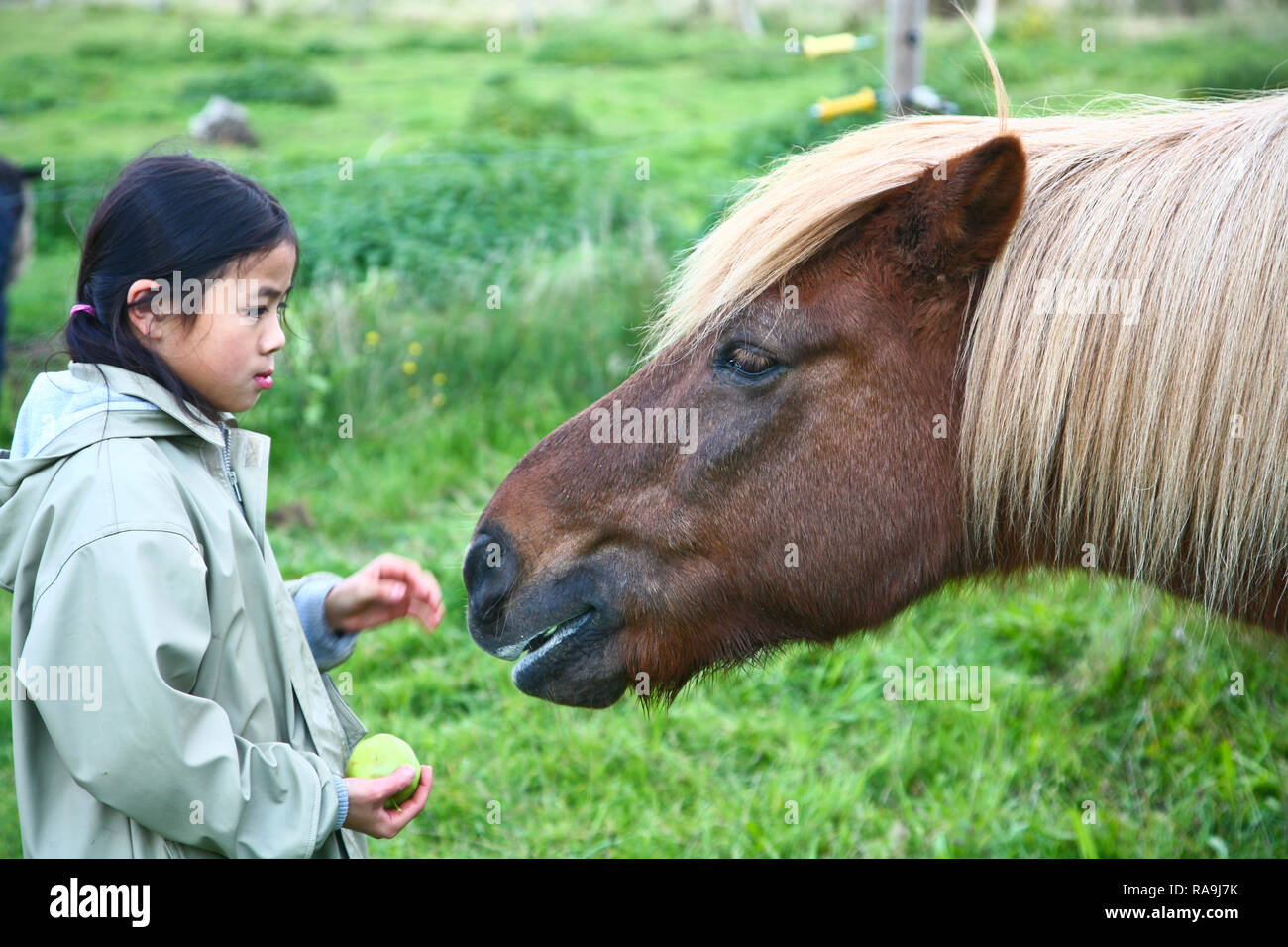Cute girl horse -Fotos und -Bildmaterial in hoher Auflösung – Alamy