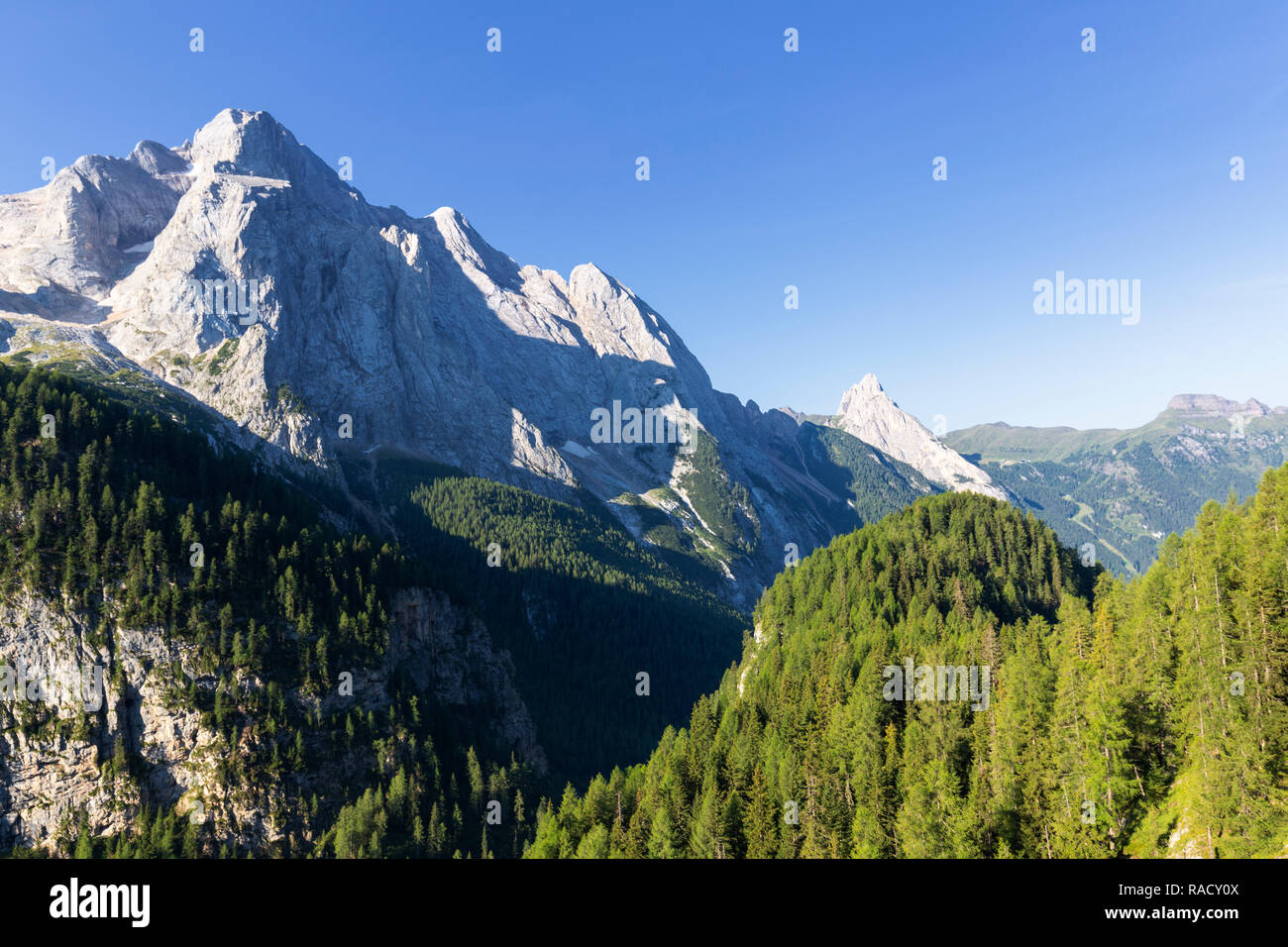 Gran vernel -Fotos und -Bildmaterial in hoher Auflösung – Alamy