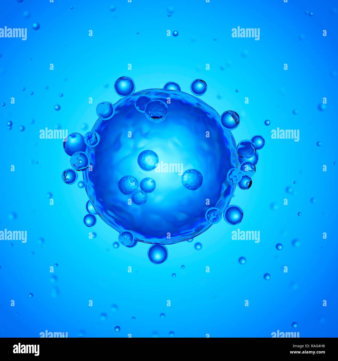 Menschliche eizelle -Fotos und -Bildmaterial in hoher Auflösung – Alamy