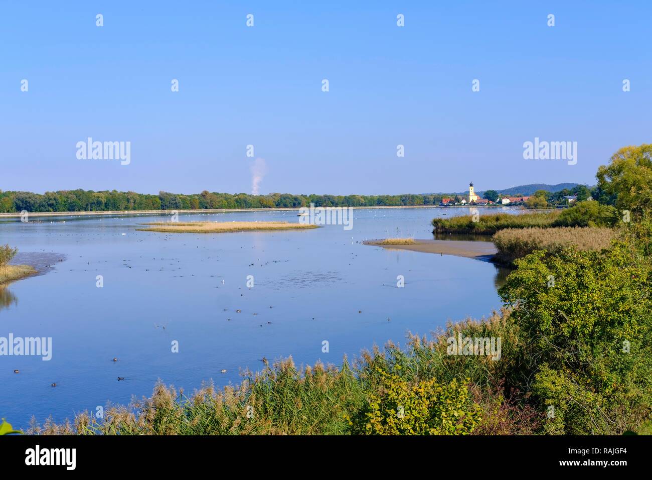 Echinger Stausee, Eching, Naturschutzgebiet Vogelschutzgebiet Mittlere ...