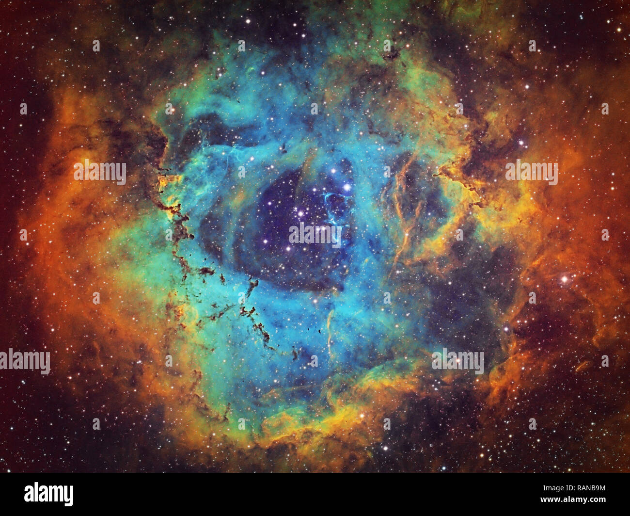 Die Rosette Nebula (NGC 2237, Caldwell 49) ist der große Wasserstoff ...