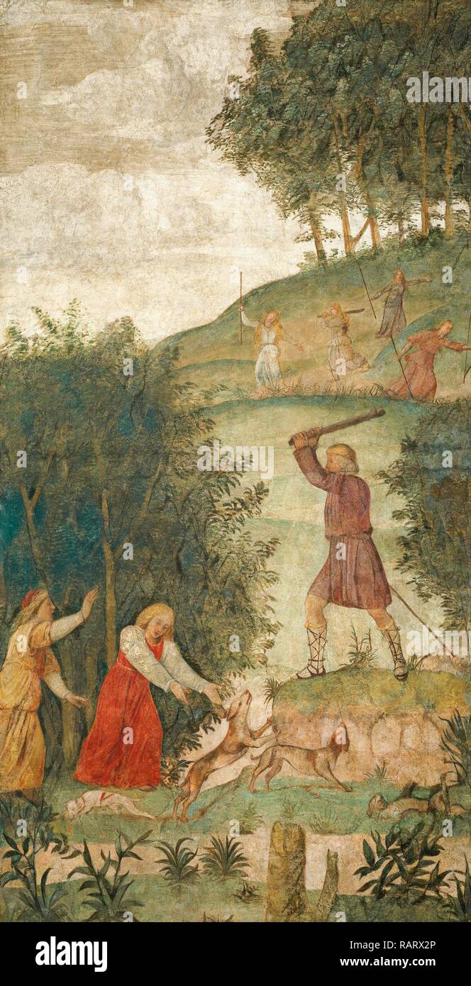 Cephalus bestraft bei der jagd -Fotos und -Bildmaterial in hoher Auflösung – Alamy