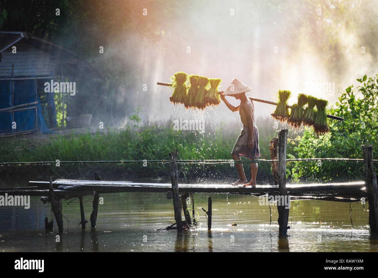 Peasant Farming Stockfotos und -bilder Kaufen - Alamy