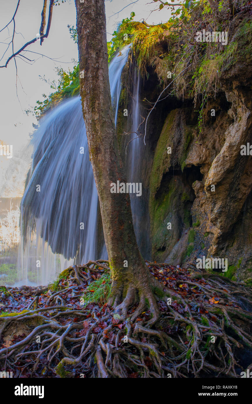 Hinter wasserfall regenwald -Fotos und -Bildmaterial in hoher Auflösung ...