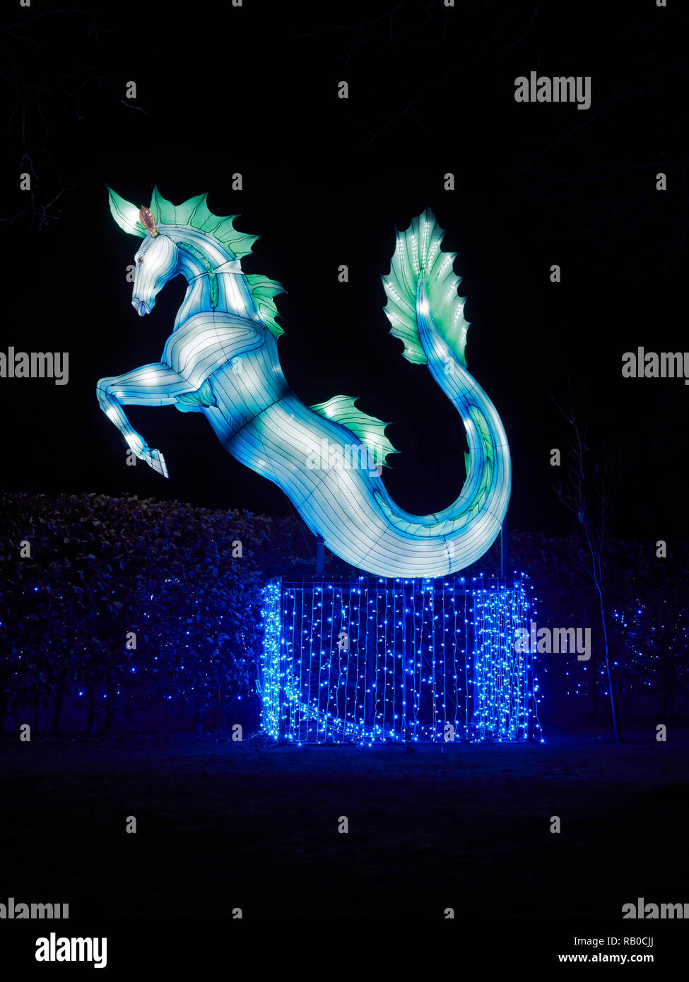 Mythisches seepferdchen -Fotos und -Bildmaterial in hoher Auflösung – Alamy