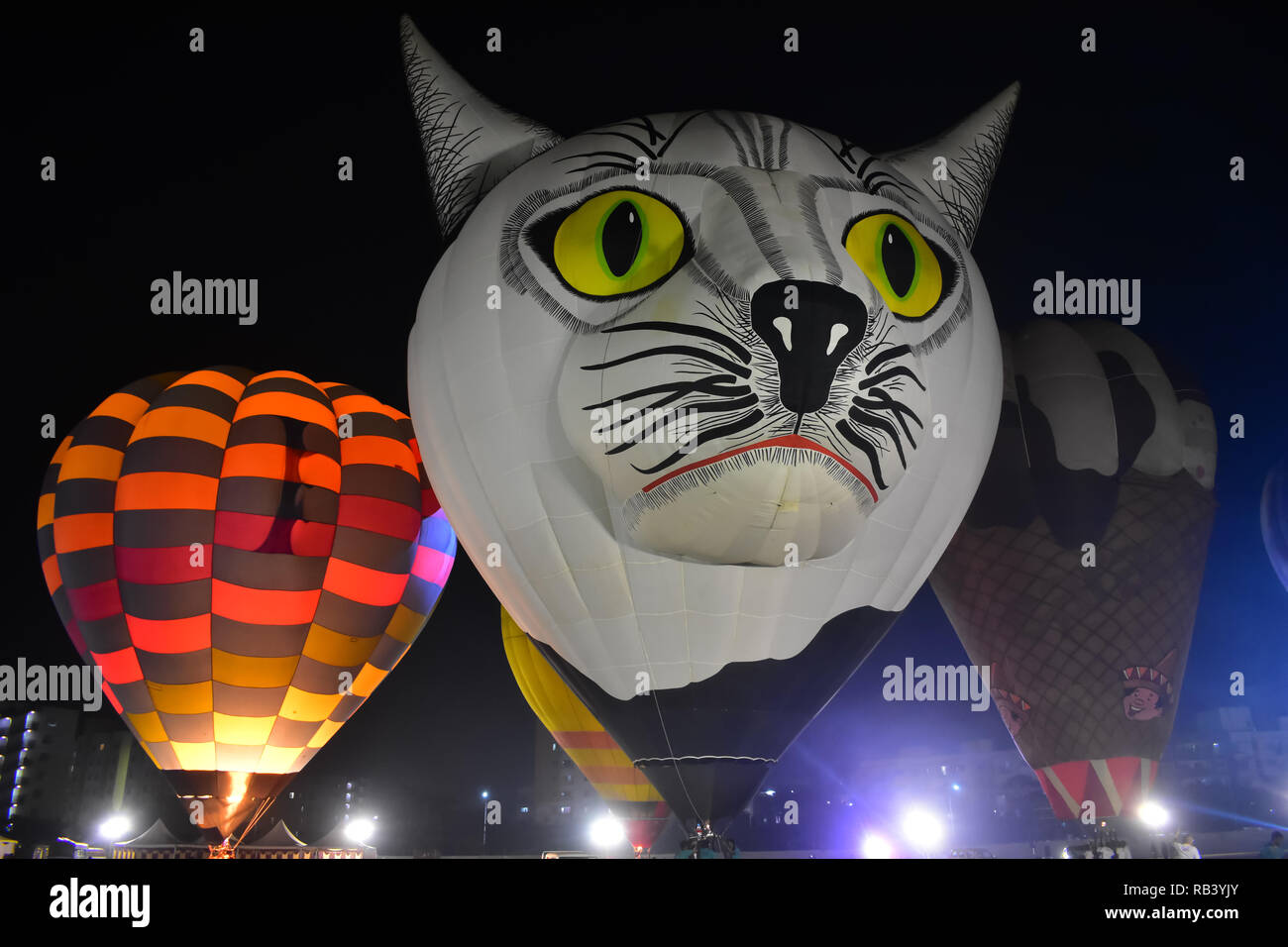 Fliegende katze 6 -Fotos und -Bildmaterial in hoher Auflösung – Alamy