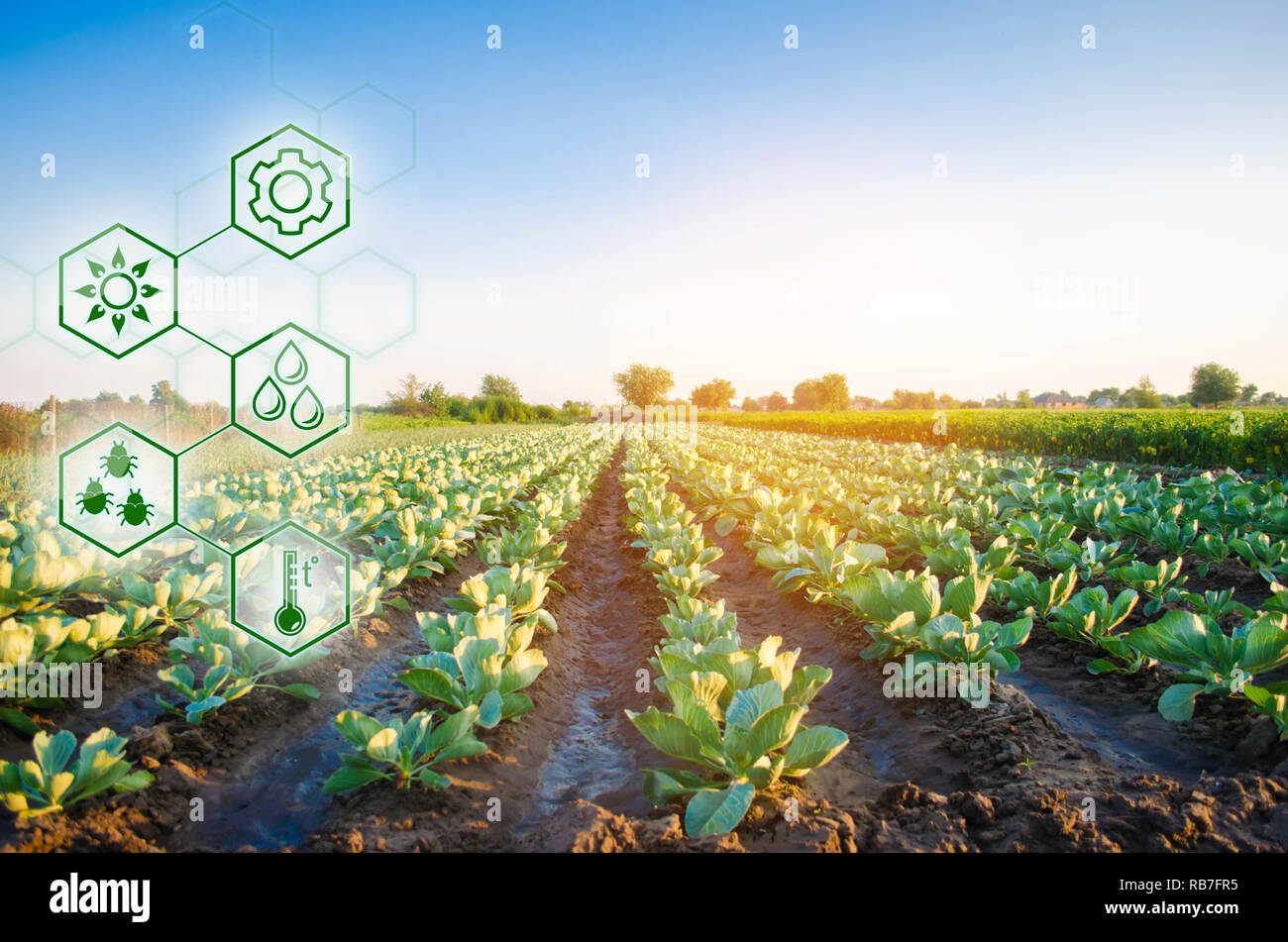 Agro industry -Fotos und -Bildmaterial in hoher Auflösung – Alamy