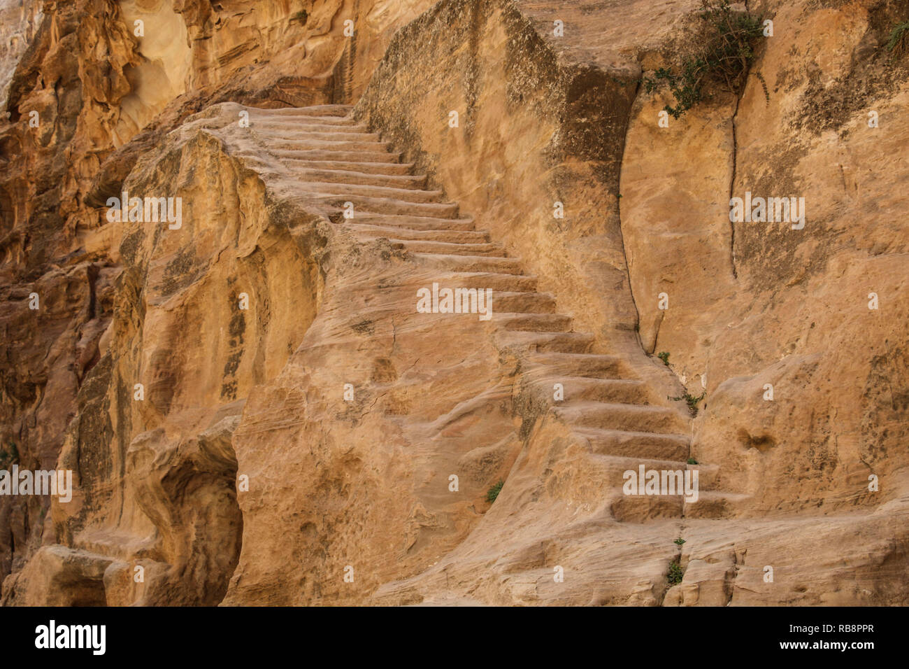 Little Petra Siq in al-Barid, Wadi Musa, Jordanien. Das ...