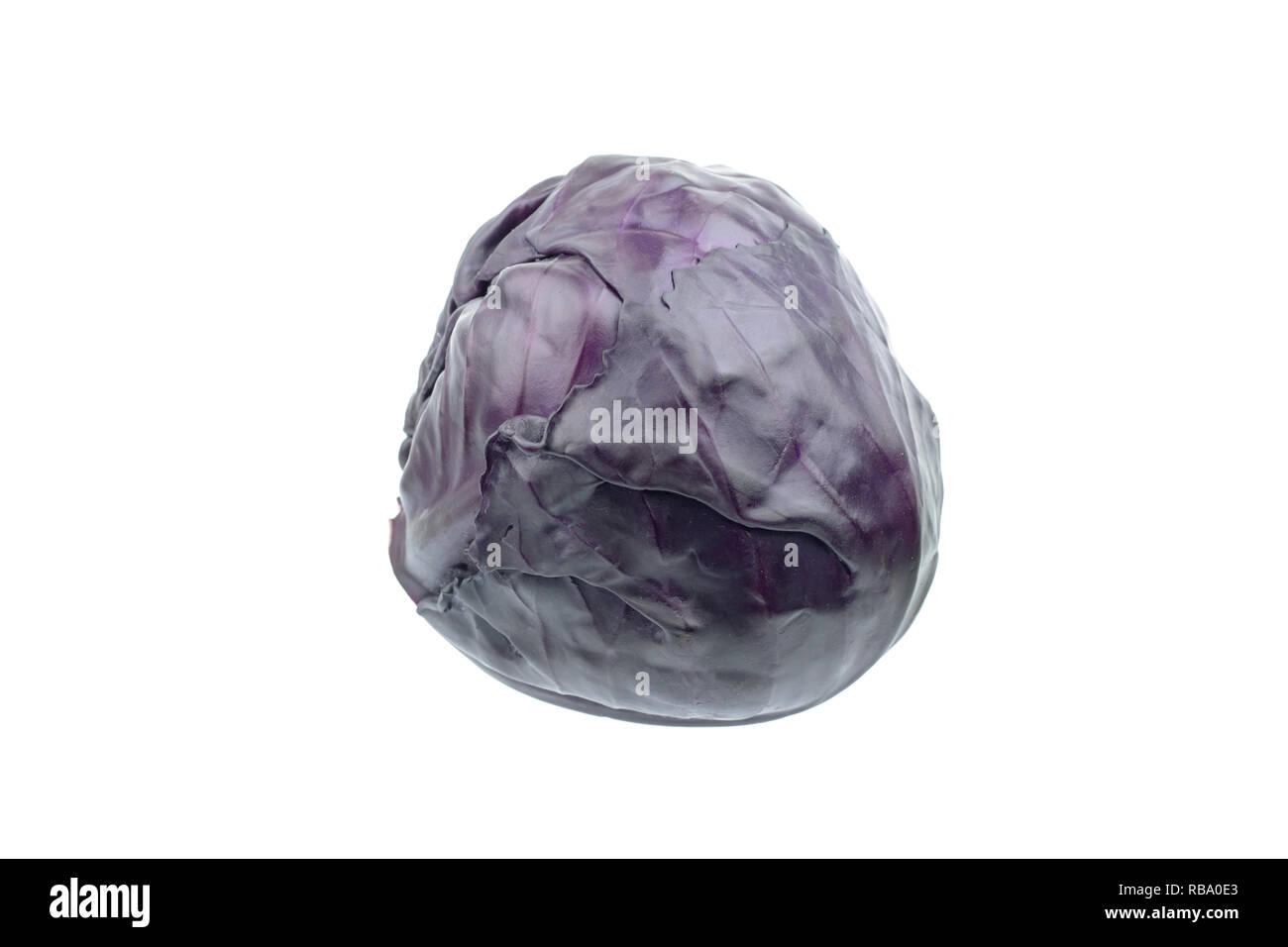 Violetter kohl freigestellt -Fotos und -Bildmaterial in hoher Auflösung ...