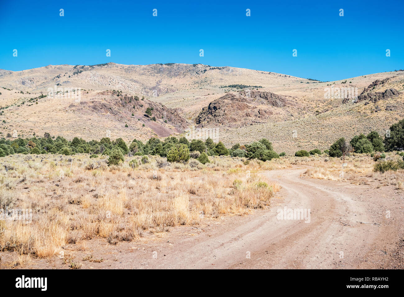 Douglas county -Fotos und -Bildmaterial in hoher Auflösung – Alamy