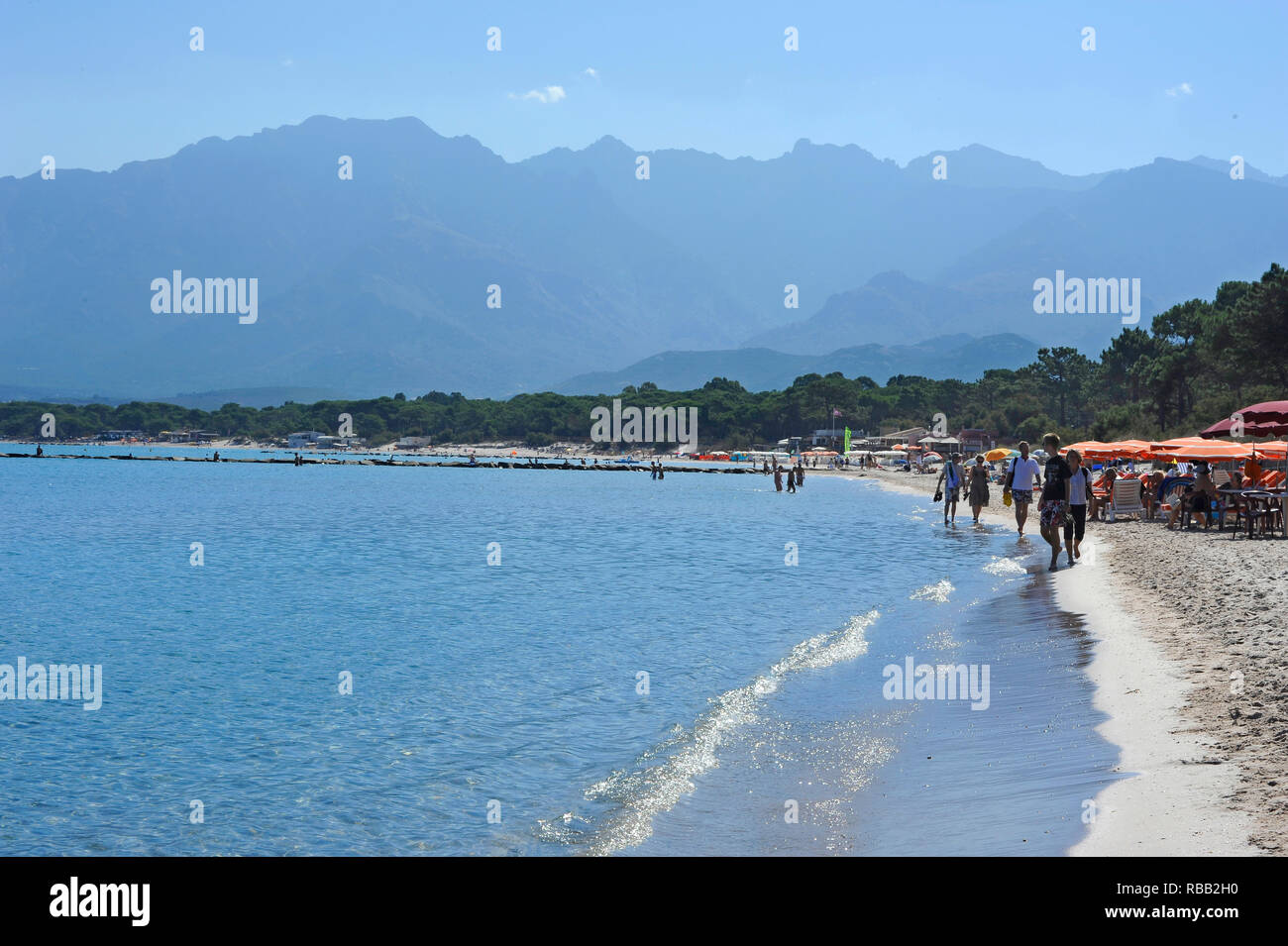 Calvi beach corsica -Fotos und -Bildmaterial in hoher Auflösung – Alamy