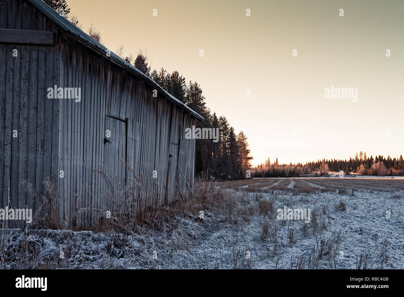 Wald hinter scheune -Fotos und -Bildmaterial in hoher Auflösung – Alamy