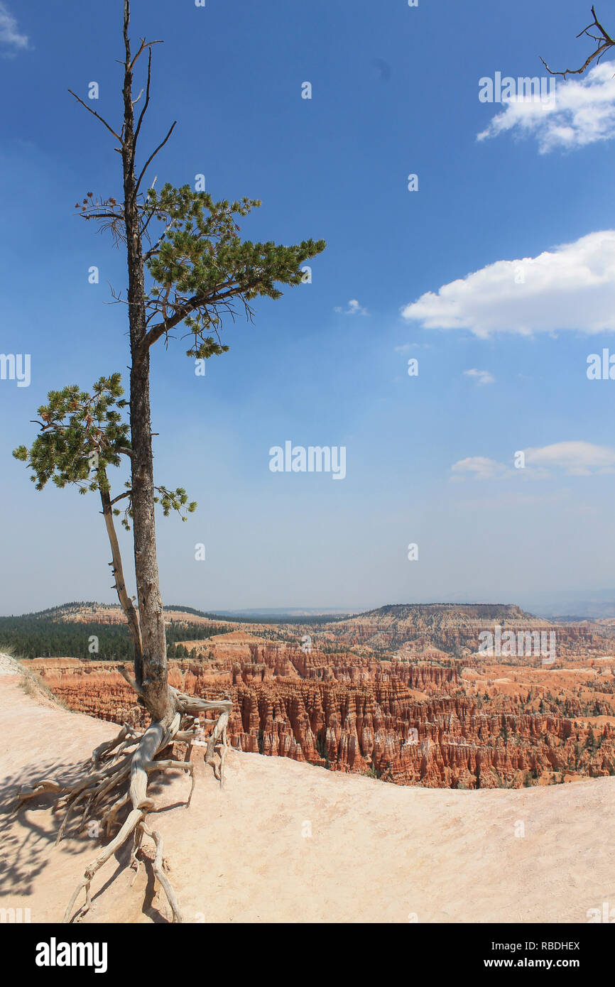 Mit blick auf eine schlucht -Fotos und -Bildmaterial in hoher Auflösung – Alamy