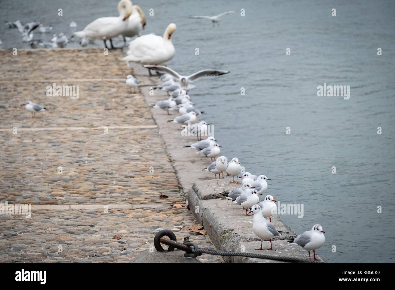Berges rhone -Fotos und -Bildmaterial in hoher Auflösung – Alamy