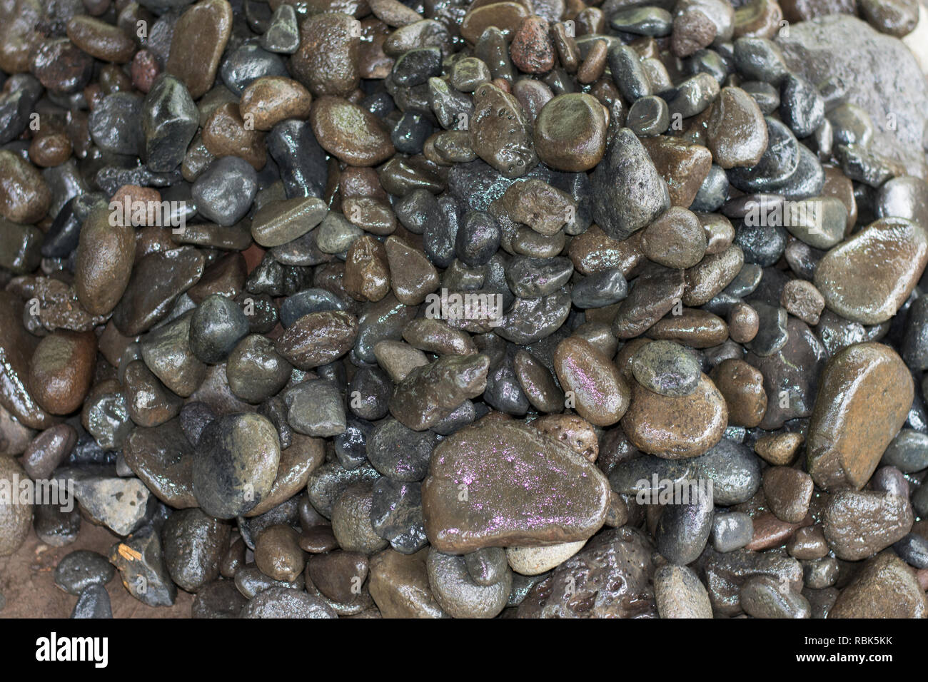 Rohstoffe der natur -Fotos und -Bildmaterial in hoher Auflösung – Alamy