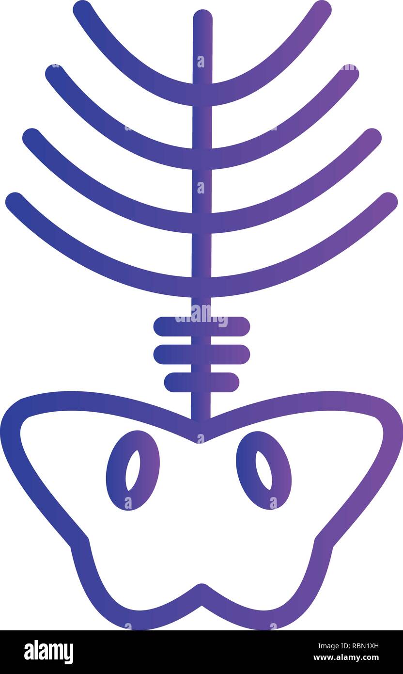 10 3 8 x 7 5 8 Stock-Vektorgrafiken kaufen - Alamy