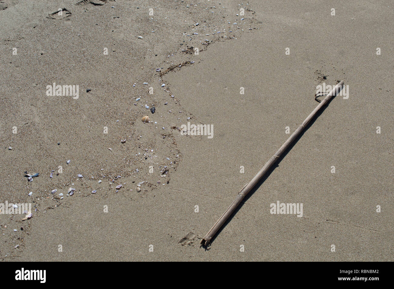 Basilicata italy metaponto beach -Fotos und -Bildmaterial in hoher ...