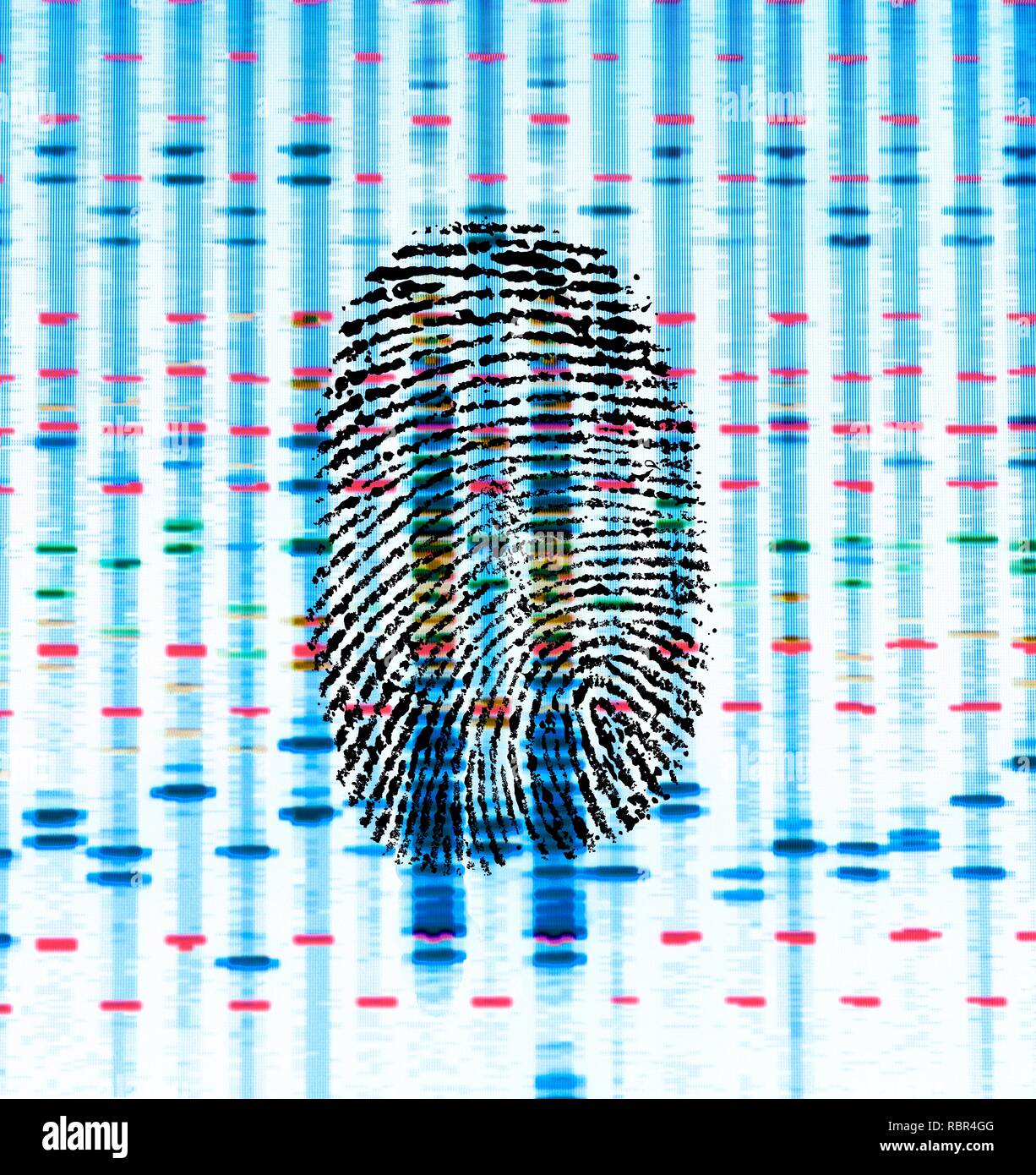 Genetic fingerprint -Fotos und -Bildmaterial in hoher Auflösung – Alamy